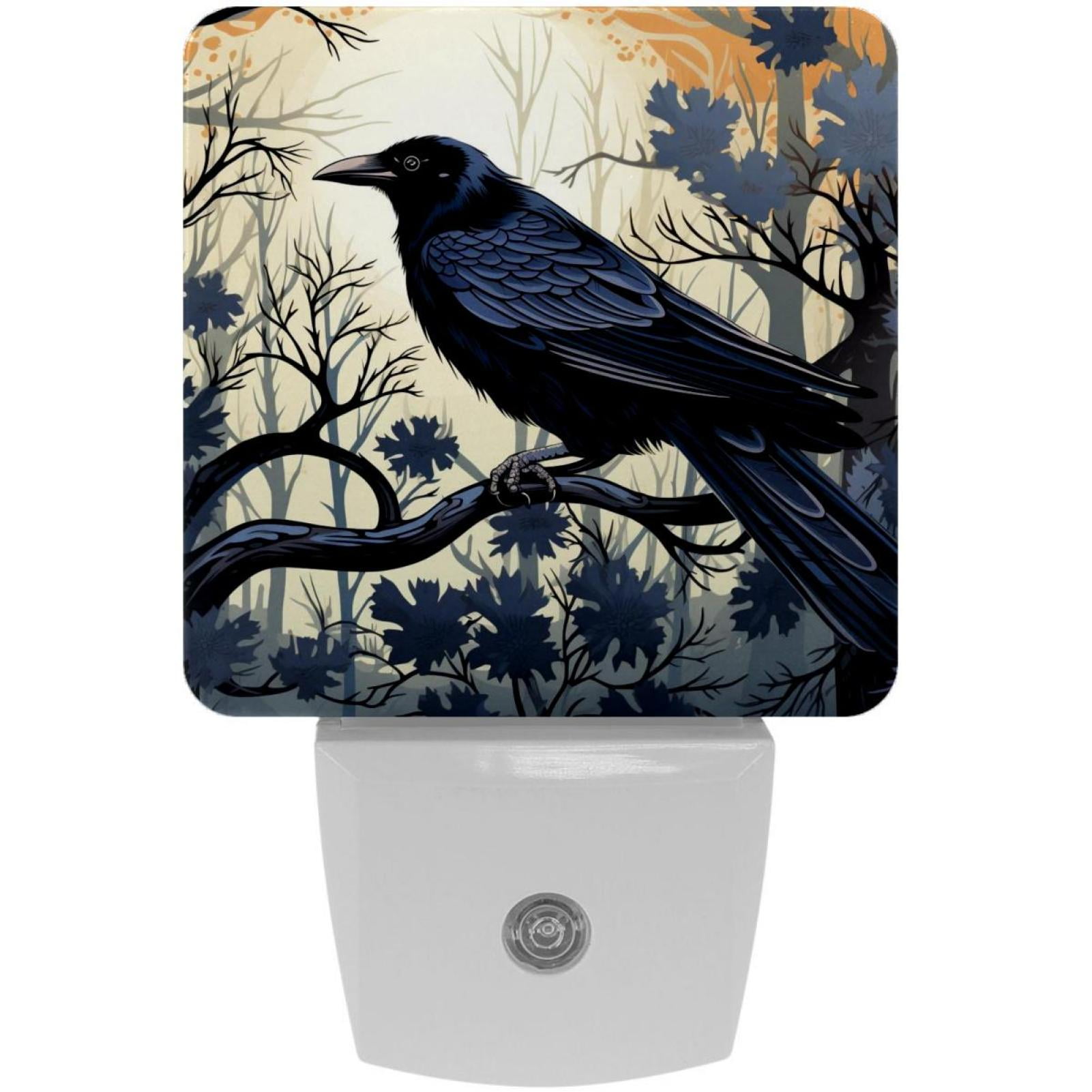 Crow LED Square Night Lights - Energy Efficient and Contemporary Design ...