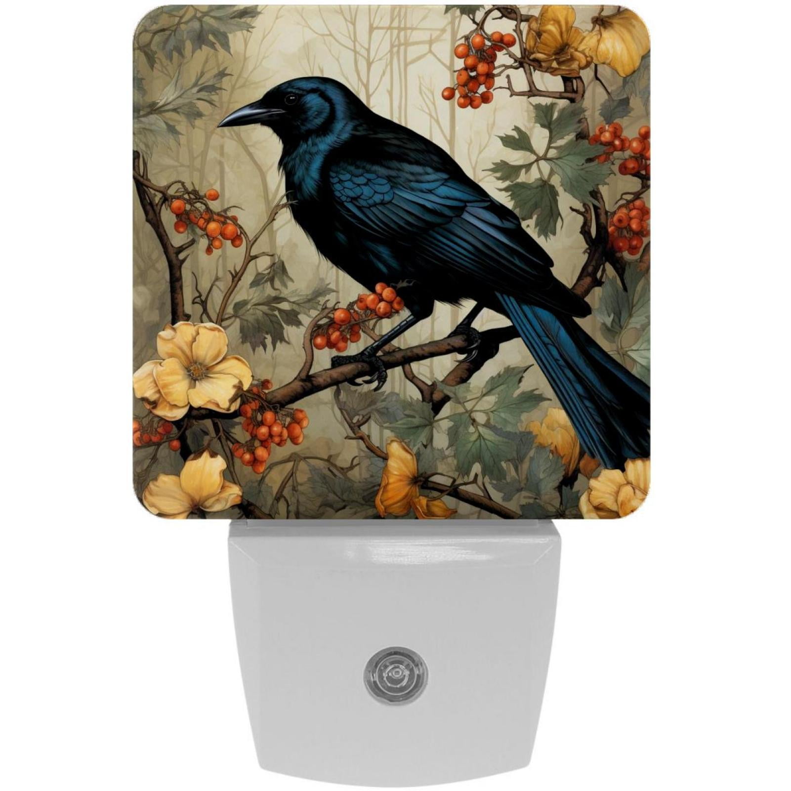 Crow LED Square Night Lights - Energy Efficient & Elegant Decorative ...