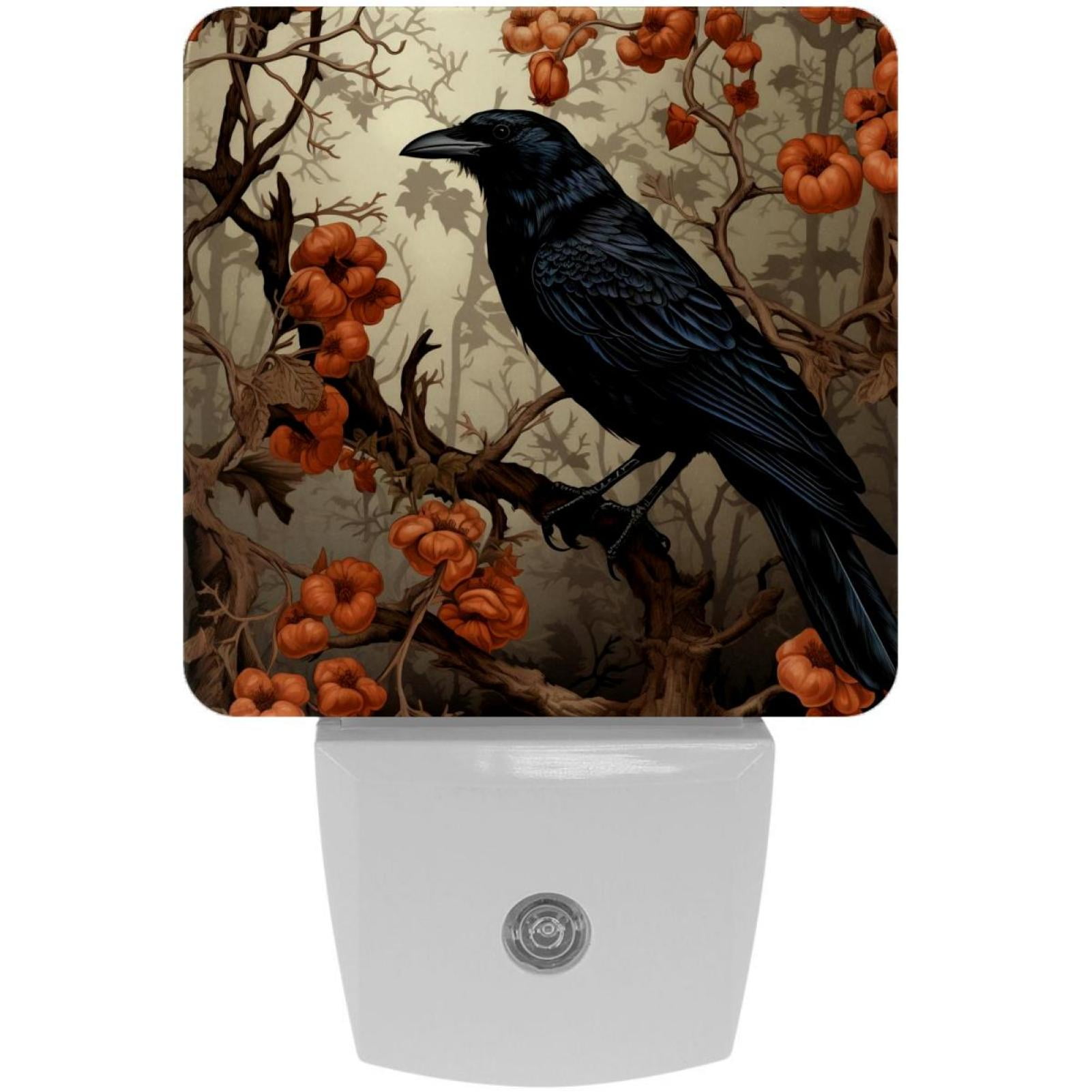 Crow LED Square Night Lights - Energy Efficient and Sleek Design - for ...