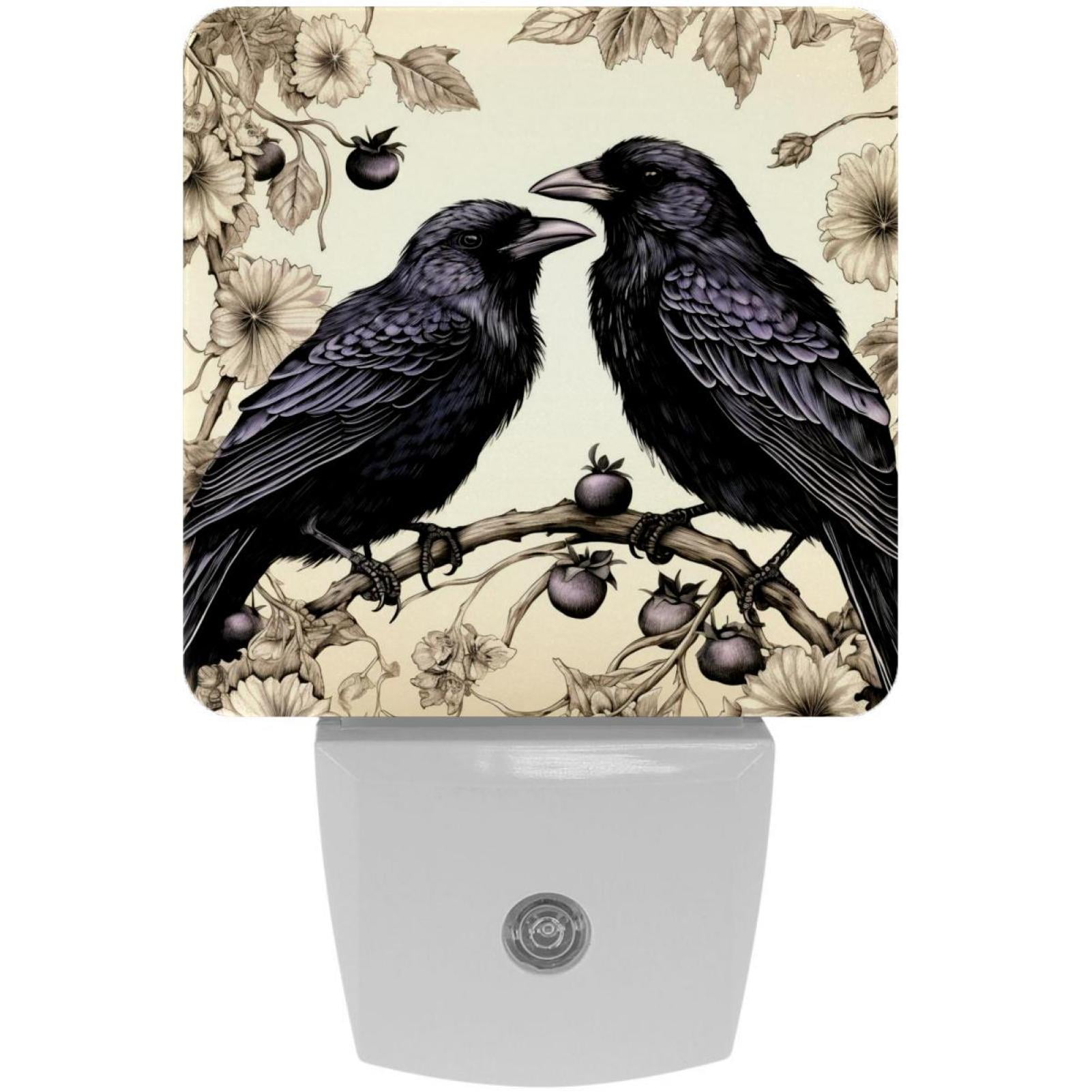 Crow LED Square Night Lights: Energy-Efficient and Stylish Illumination ...