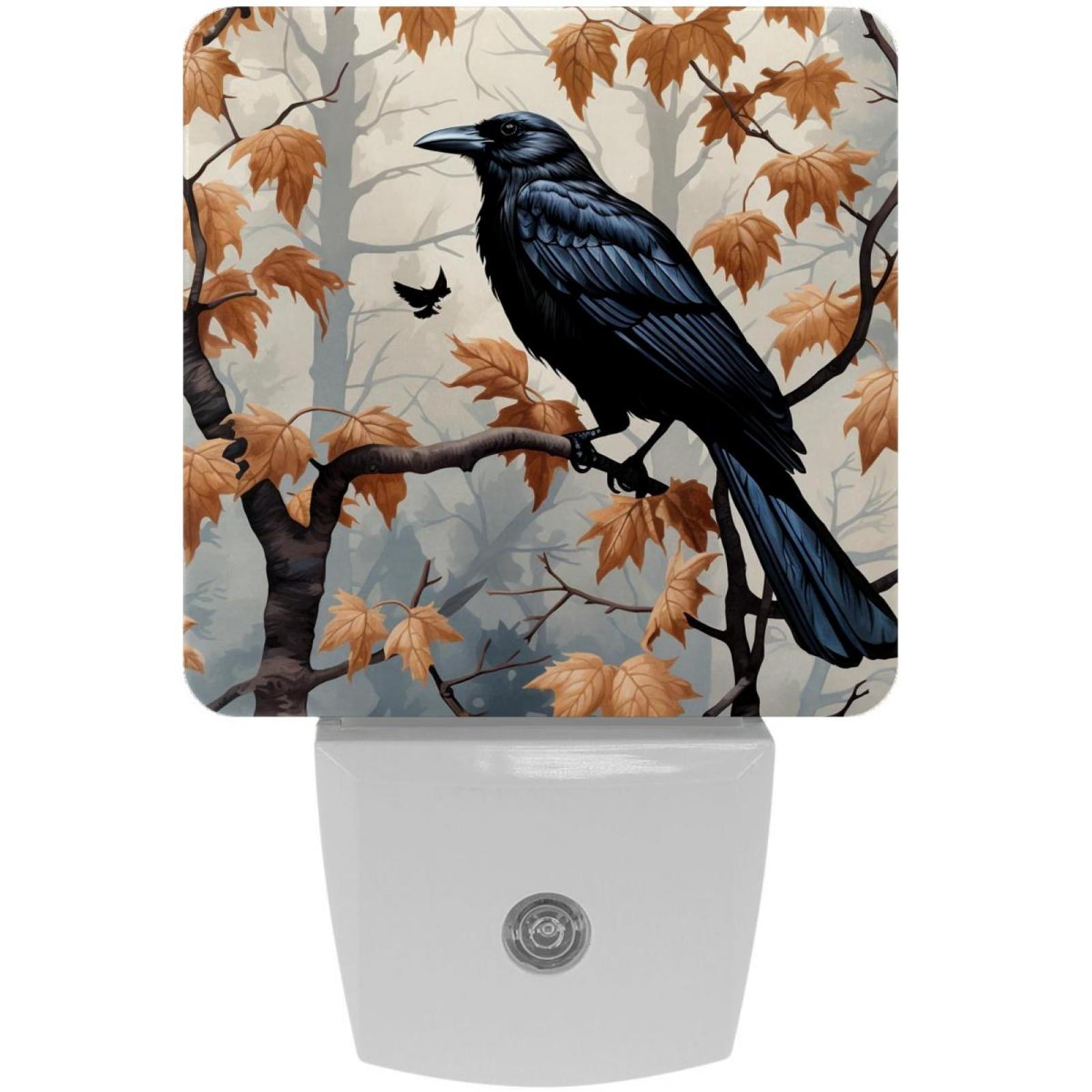Crow LED Square Night Lights - Energy Efficient and Stylish Room ...