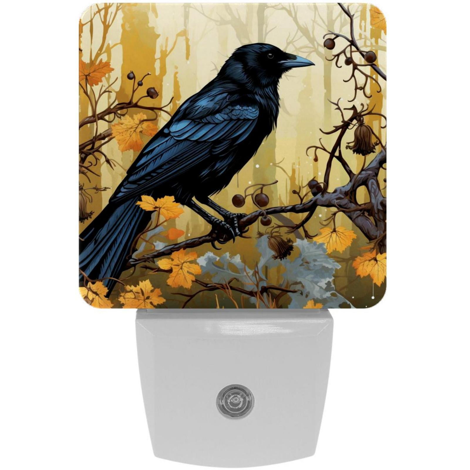 Crow LED Square Night Lights: Innovative Illumination for a Relaxing ...