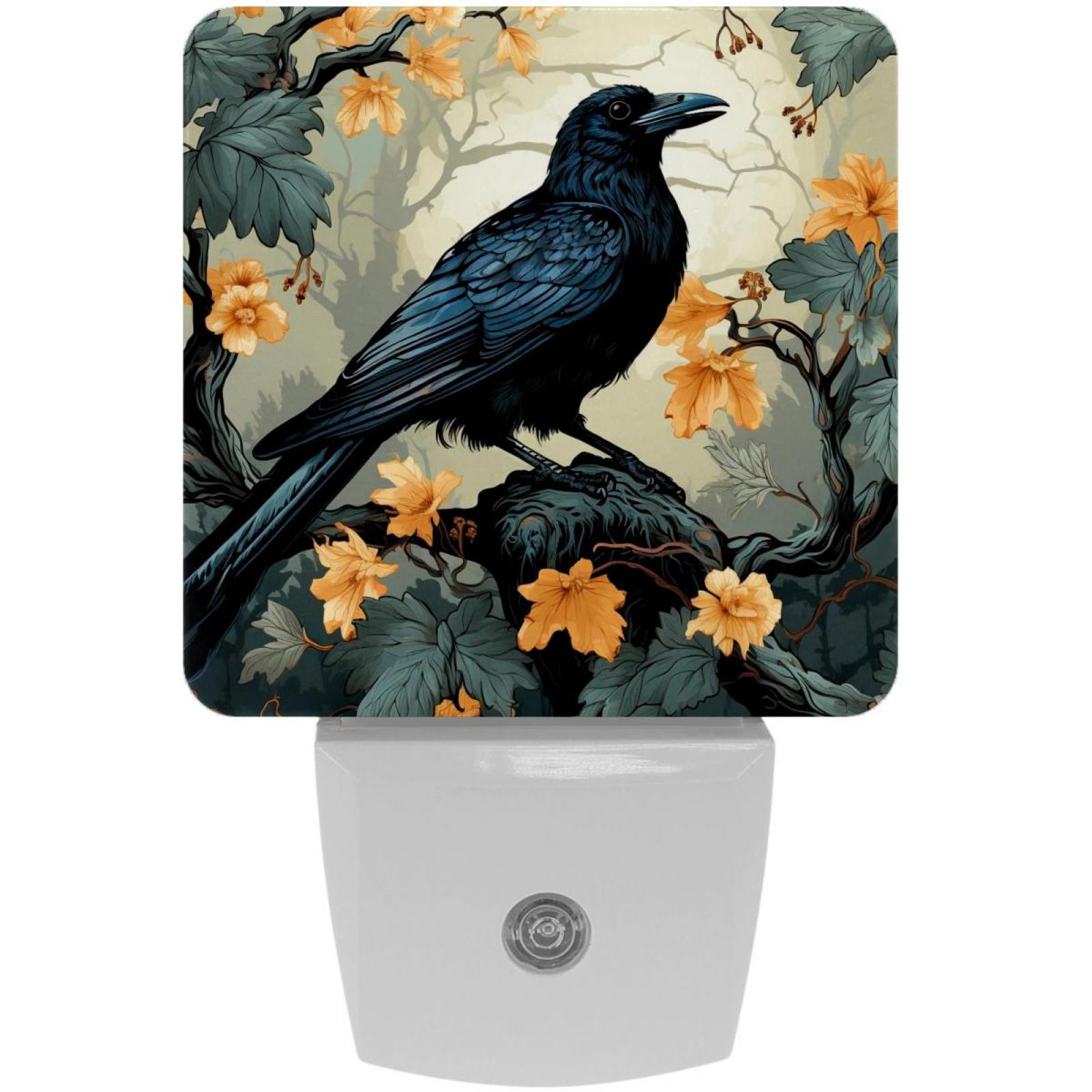 Crow LED Square Night Lights: Innovative Illumination for a Relaxing ...