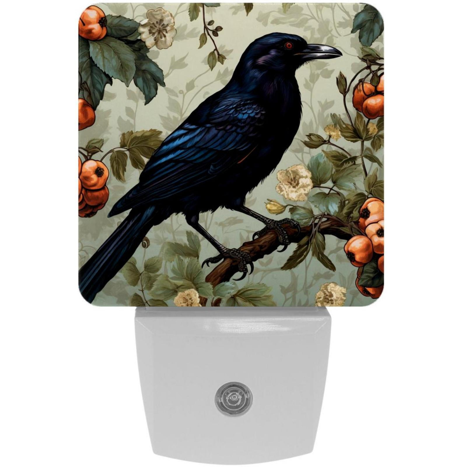 Crow LED Square Night Lights - Modern Design, Energy Efficient Indoor ...