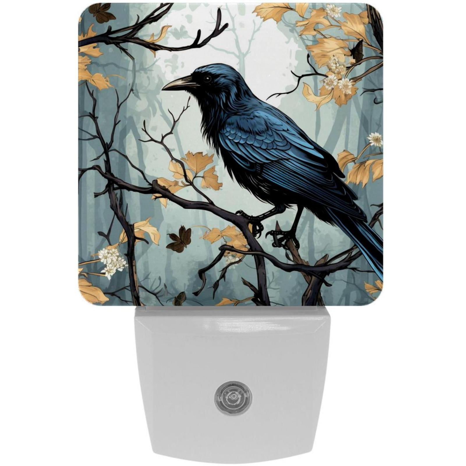 Crow LED Square Night Lights - Modern and Versatile Plug-in Lighting ...