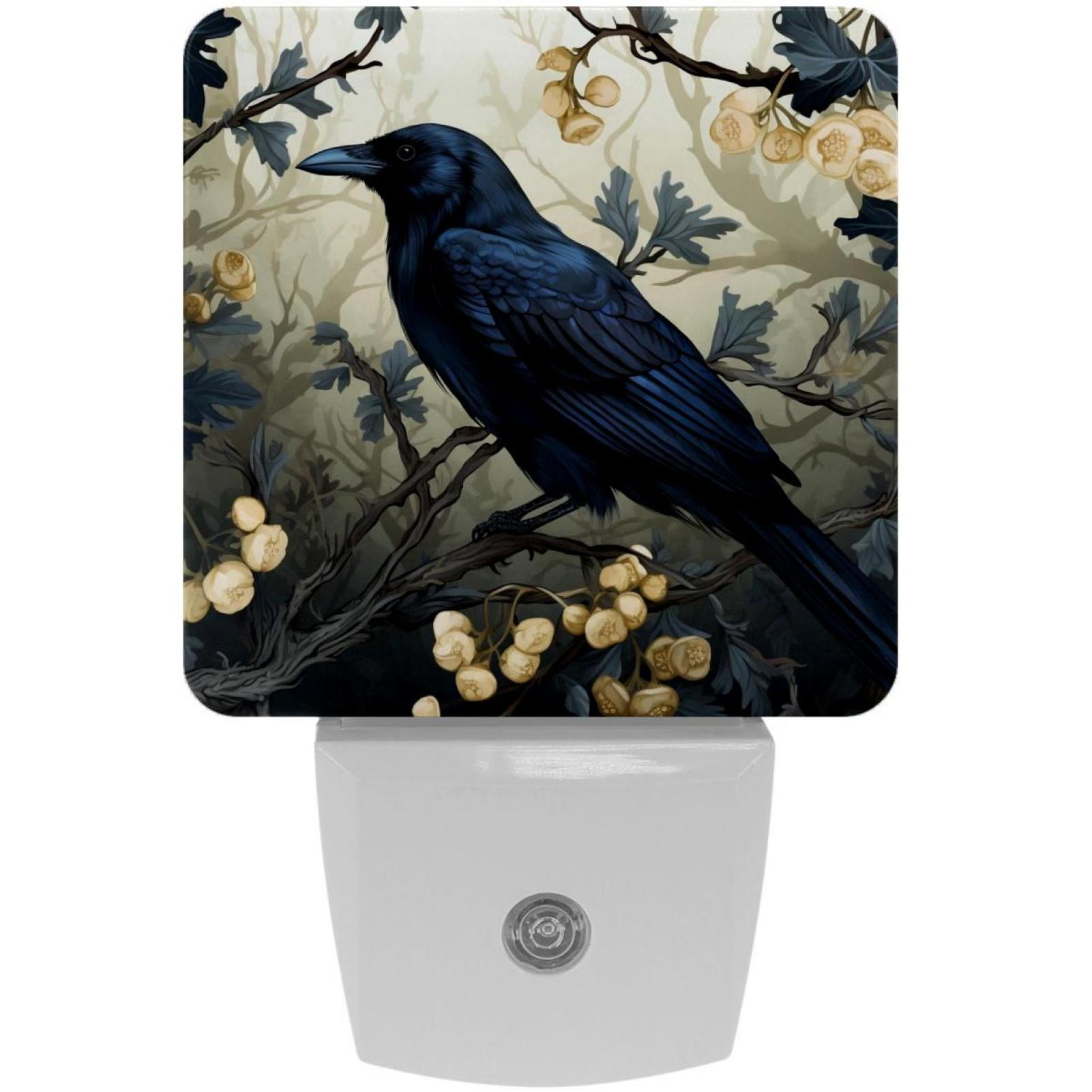 Crow LED Square Night Lights - Modern and Versatile Plug-in Lighting ...