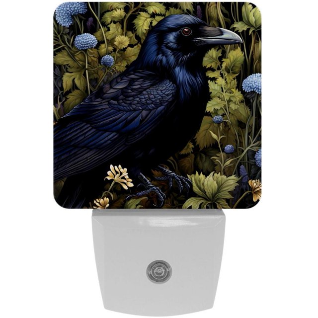 Crow LED Square Night Lights - Small and Bright Illumination for Your ...