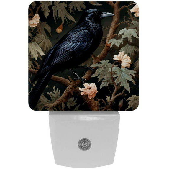 Crow LED Square Night Lights - Stylish and Energy-Efficient ...