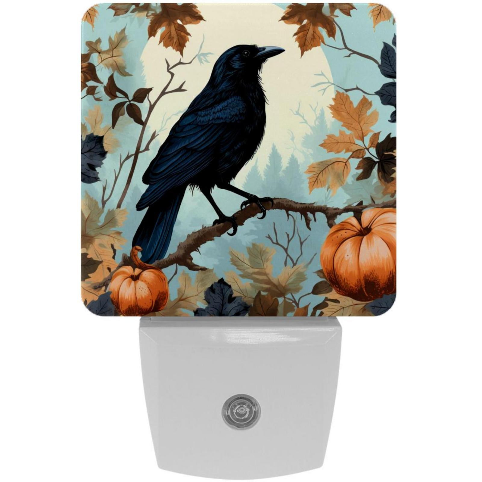 Crow LED Square Night Lights - Stylish and Energy-Efficient Lighting ...