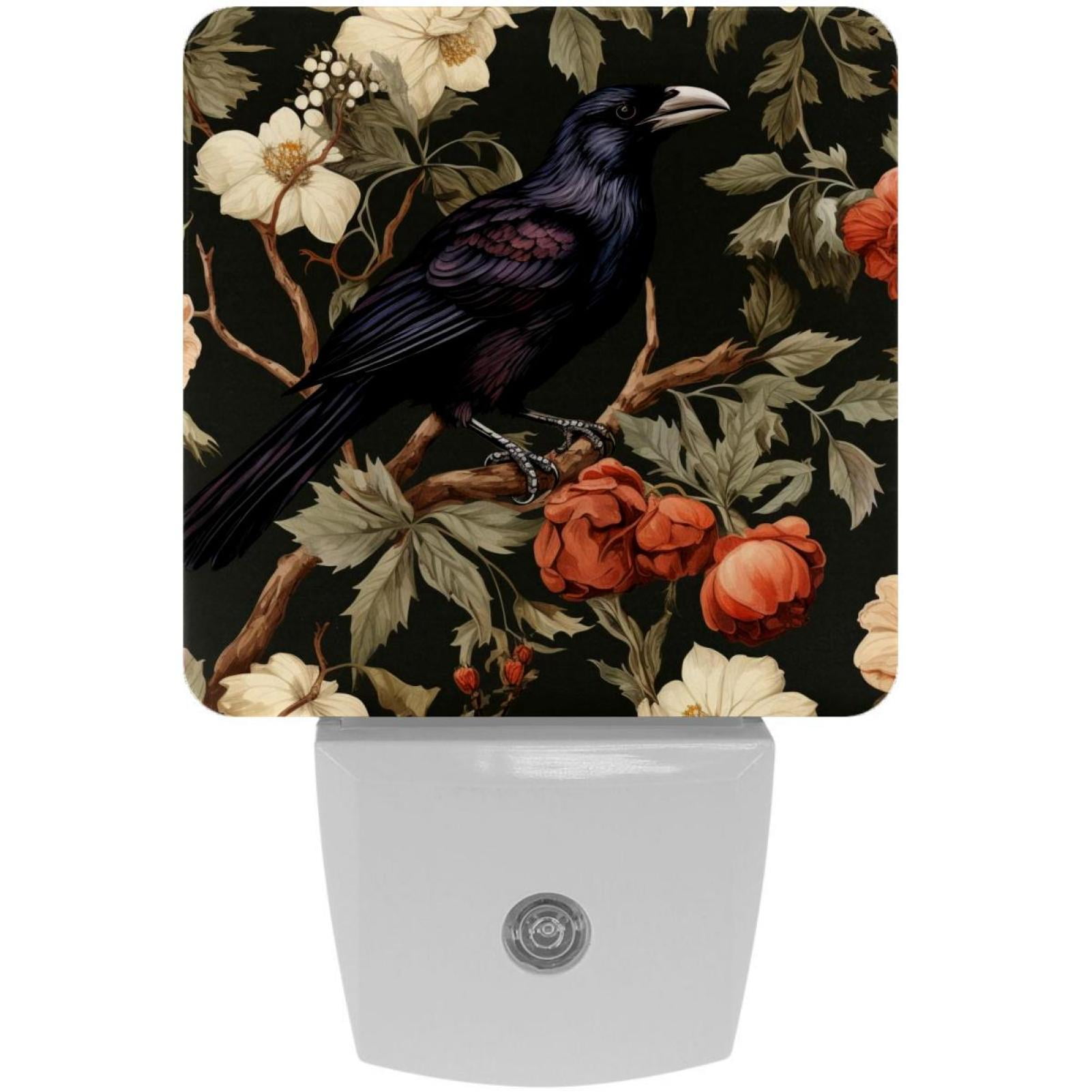 Crow LED Square Night Lights - Stylish and Energy-Efficient Lighting ...