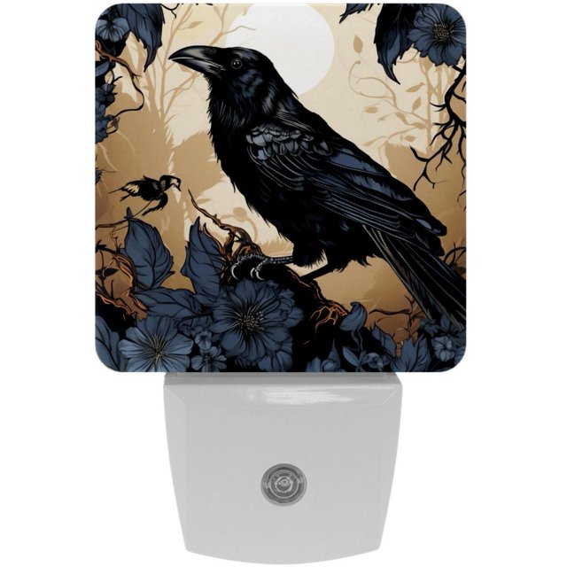 Crow LED Square Night Lights - Stylish and Energy-Efficient Lighting ...