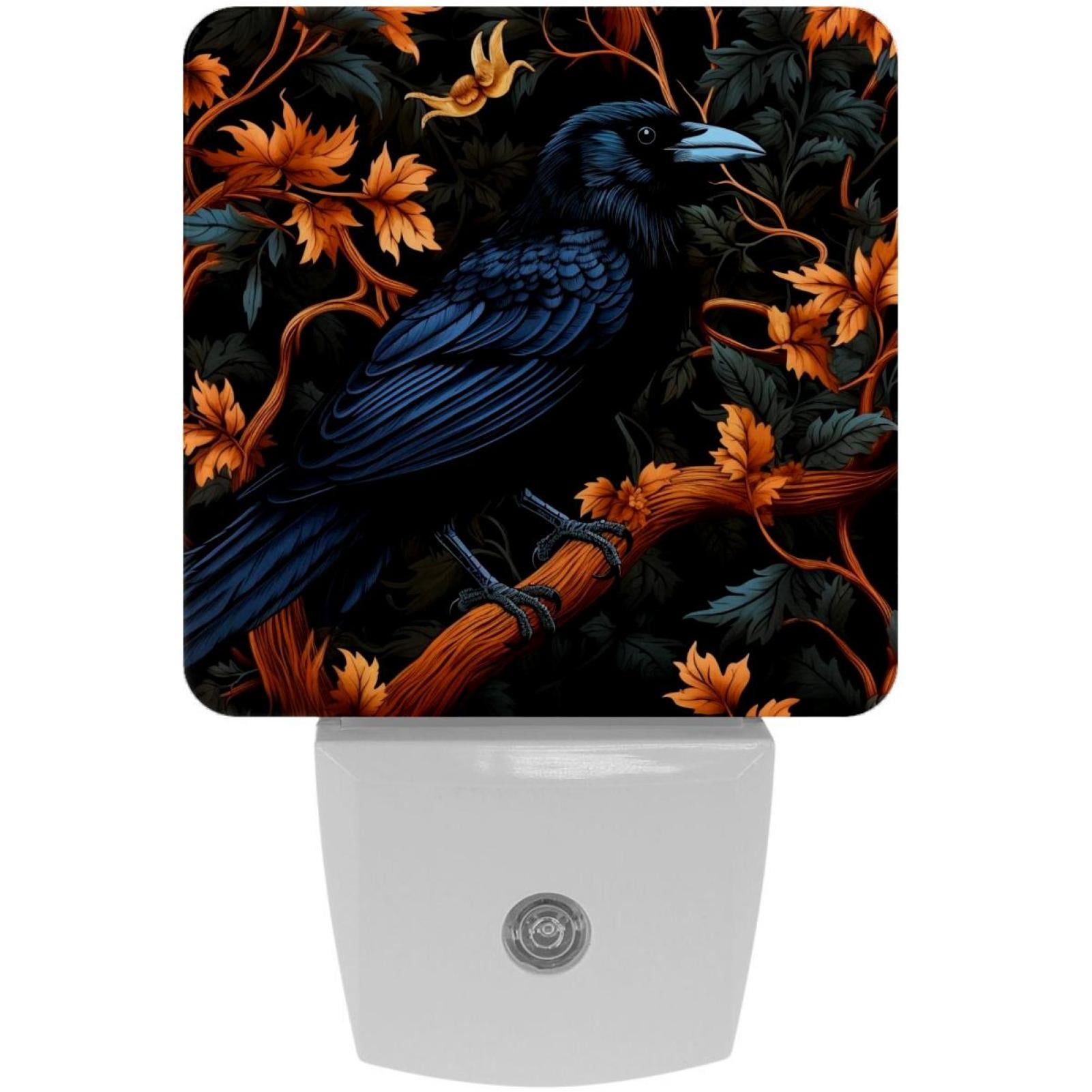 Crow LED Square Night Lights - Stylish and Energy-Efficient Lighting ...