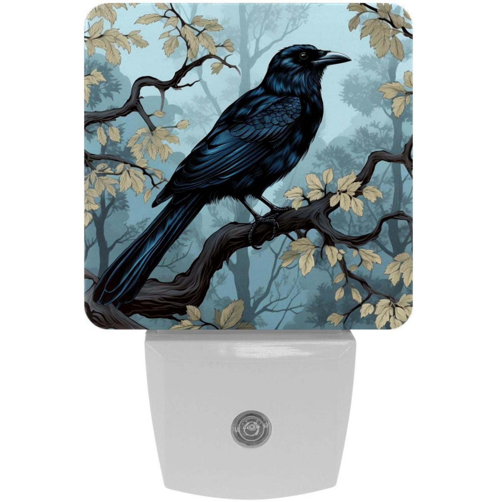 Crow LED Square Night Lights - Stylish and Energy-Efficient Room ...