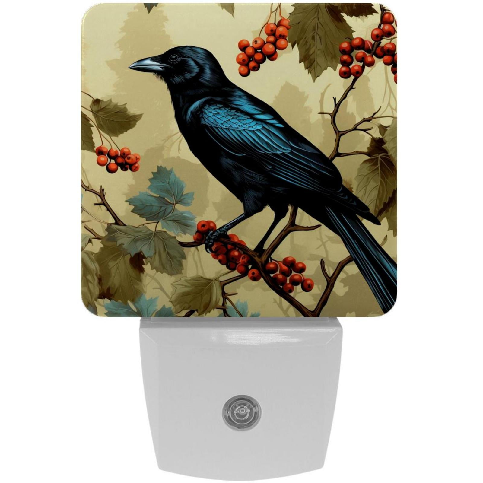 Crow LED Square Night Lights - Stylish and Energy-Efficient Room ...