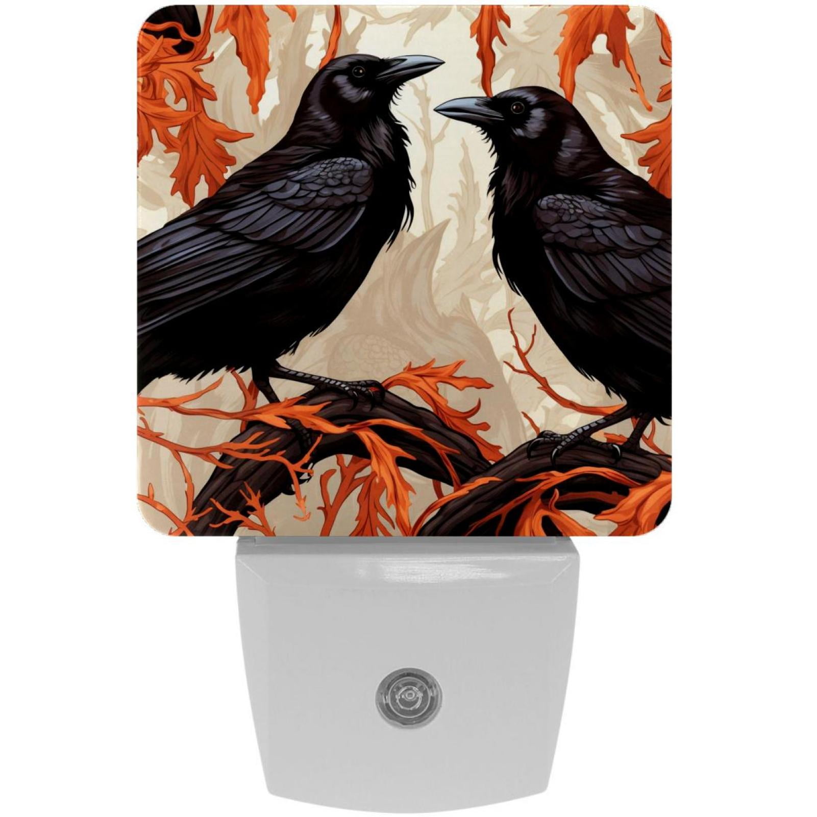 Crow LED Square Night Lights for Bedroom and Living Room, Decorative ...