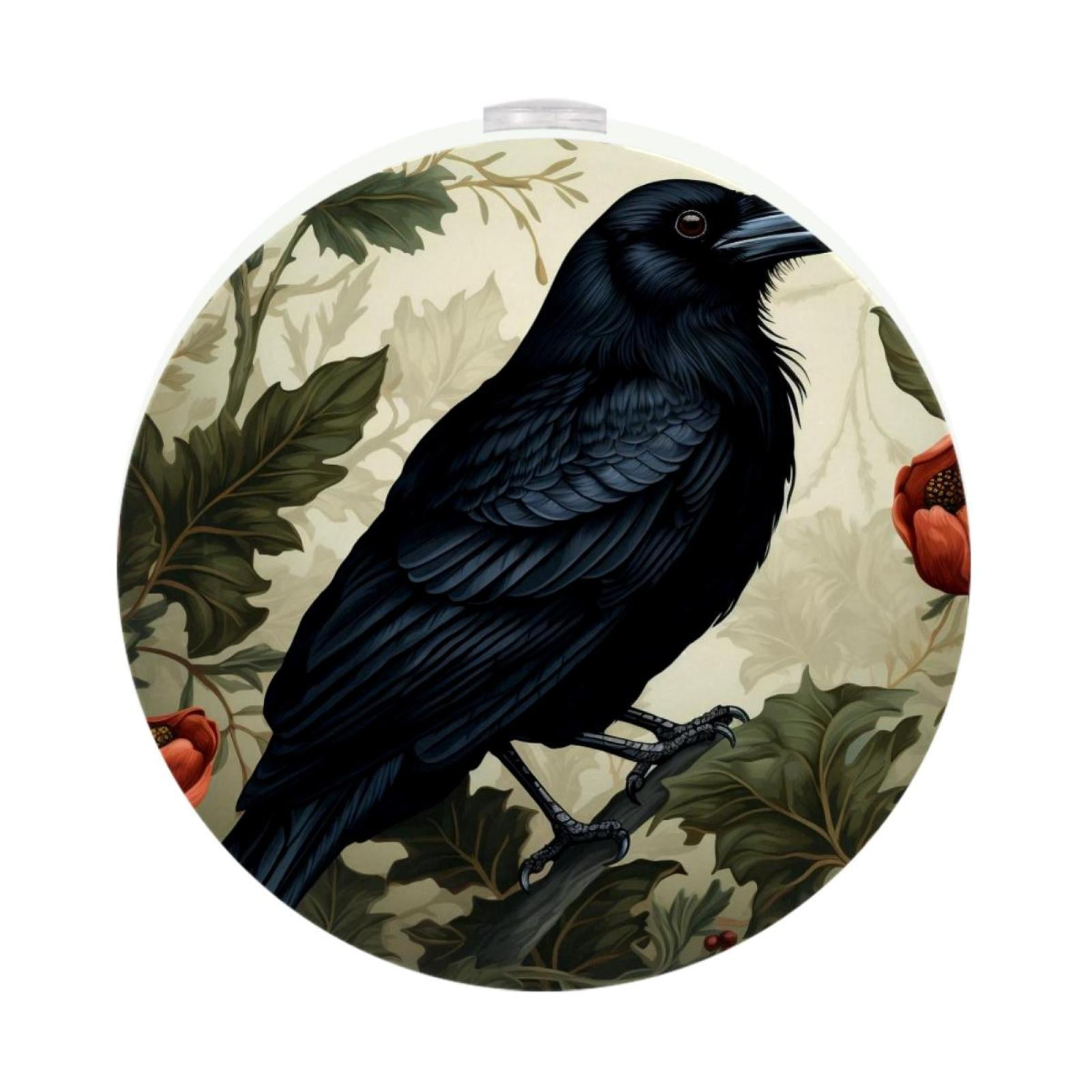 Crow Led Round Night Light-2pcs, Dimmable Plug-in Mini Wall Lamp with ...