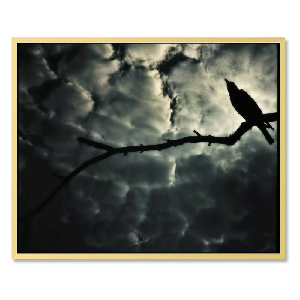 Crow On A Barren Branch With The Moon Hidden Behind The Clouds Posters ...
