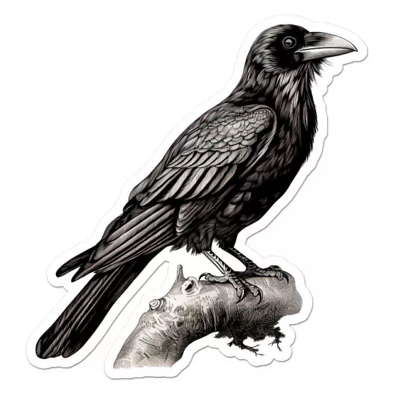 Crow Raven Bird Sticker Indoor Outdoor Phone Decal Water Bottle ...