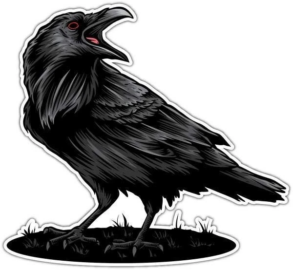 Crow Raven Black Bird Car Window Stickerphone Decal Water Bottle ...