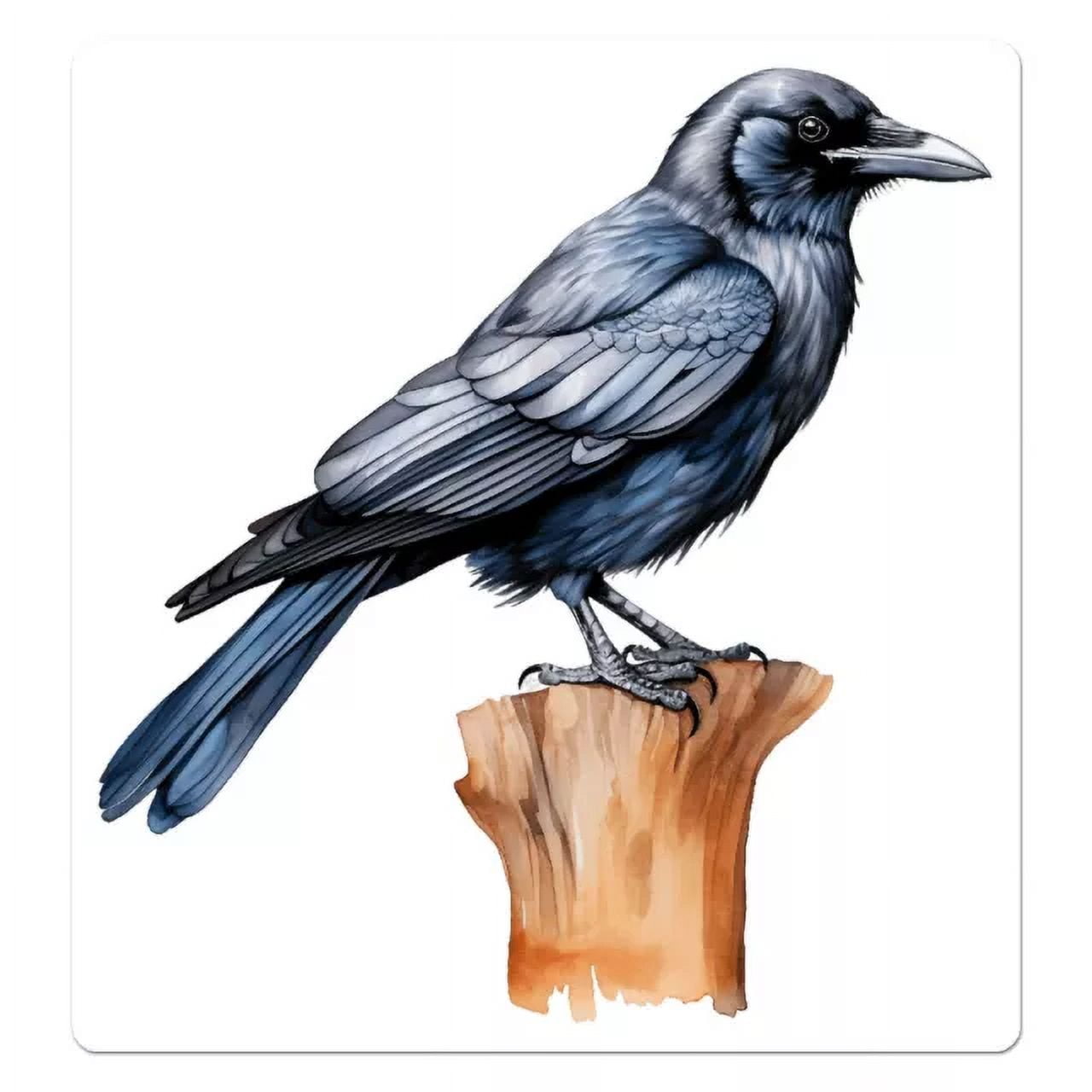 Crow Raven Blackbird Sticker Phone Decal Water Bottle Stickers Car ...