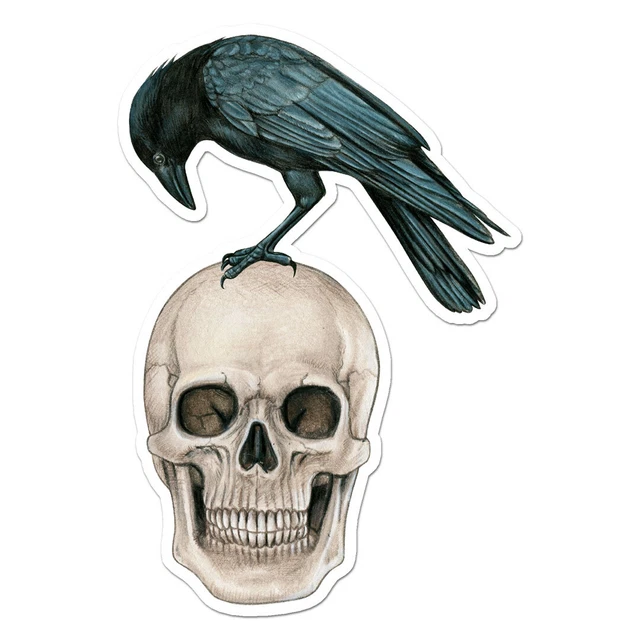 Crow Raven Skull Sticker Phone Decal Water Bottle Stickers Car Decals ...
