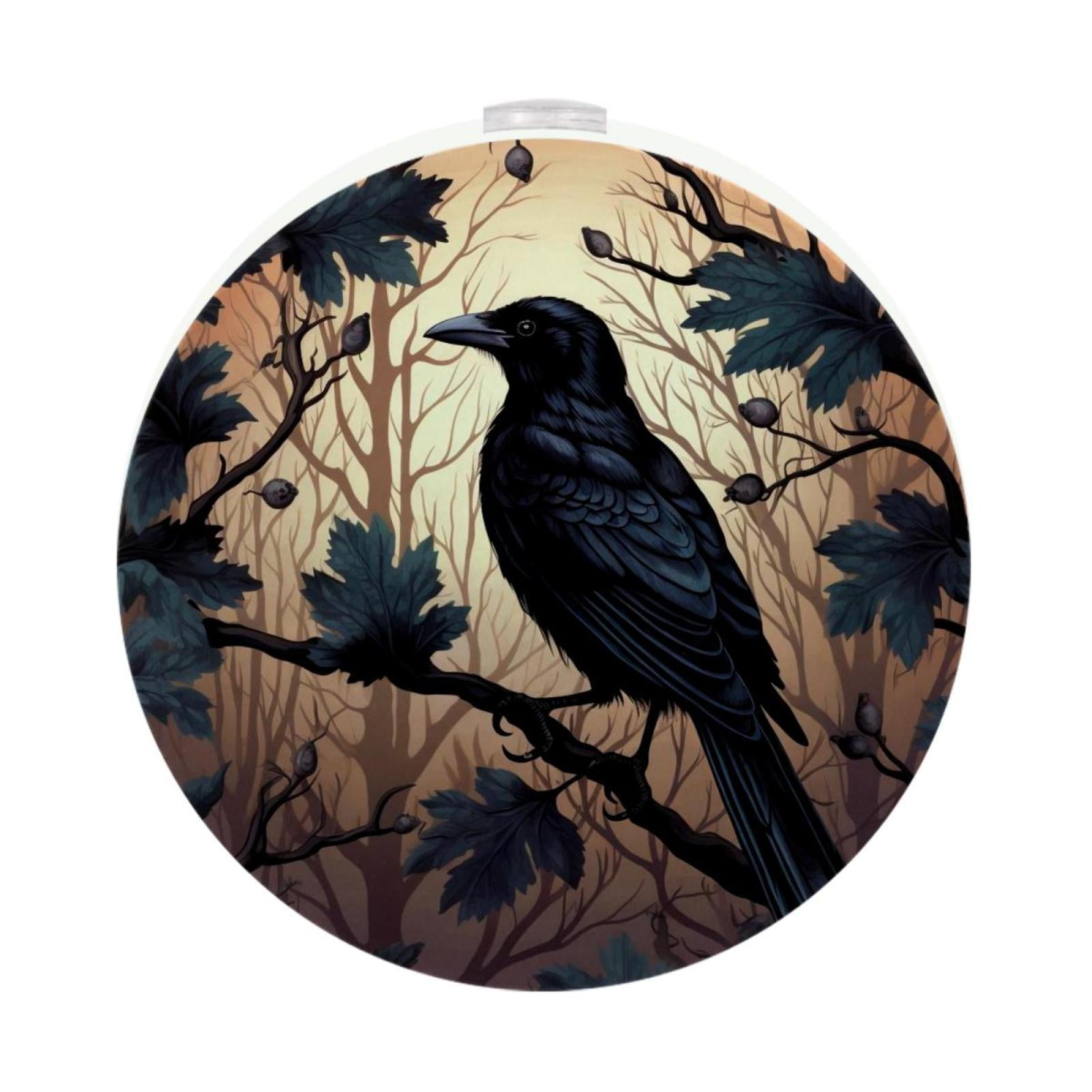 Crow Set of 2 LED Round Night Lights for Brightening up your Space at ...