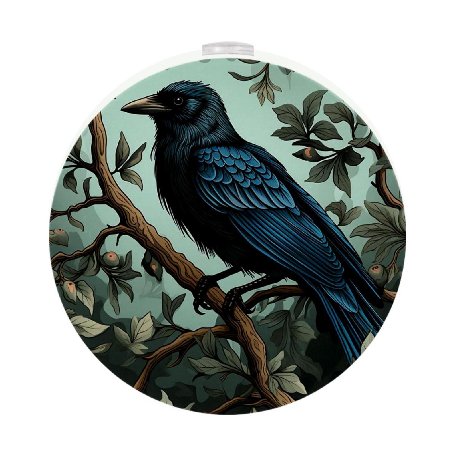 Crow Set of 2 LED Round Night Lights for Brightening up your Space at ...