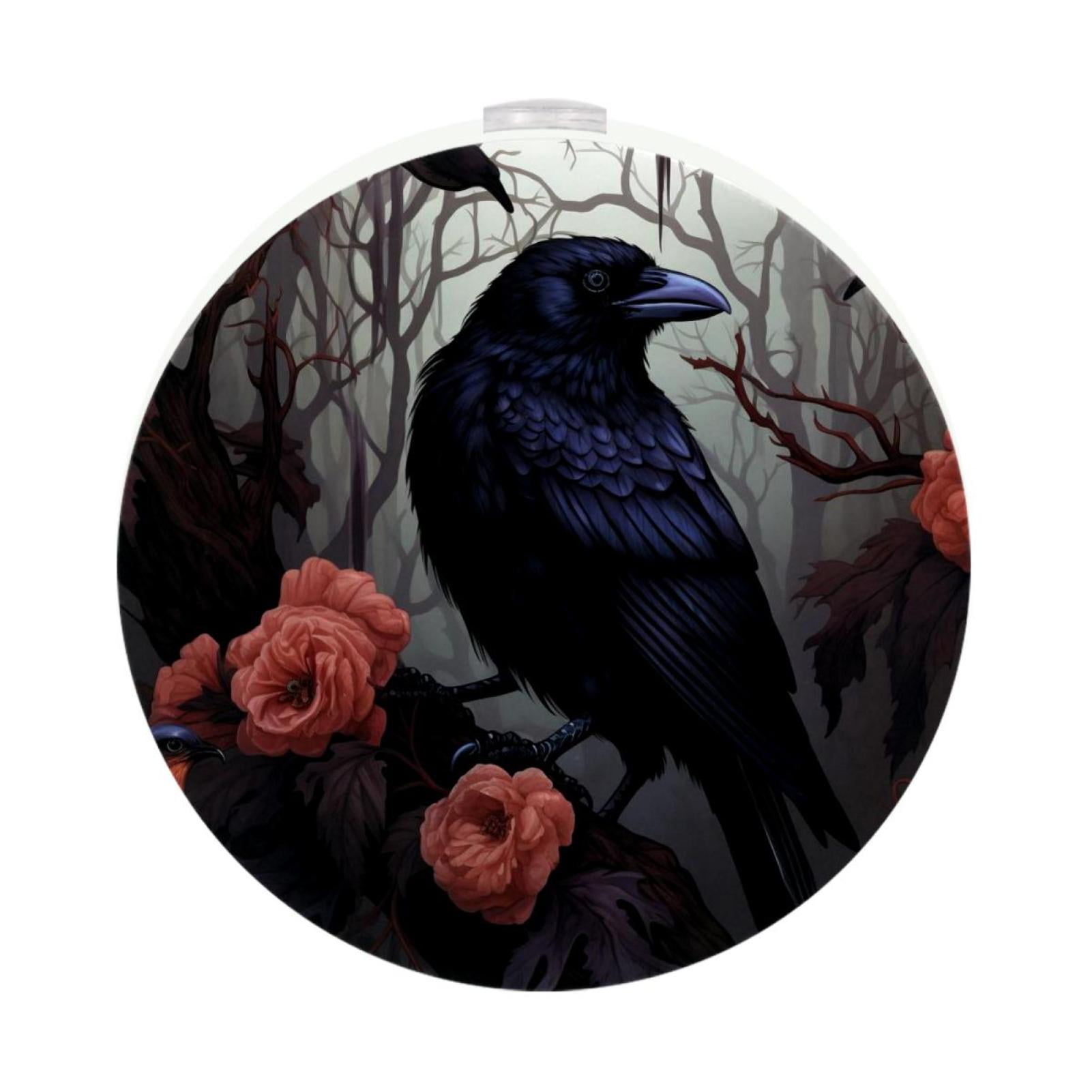 Crow Warm White Led Round Night Light-2Pcs, Portable Plug-in Dusk to ...