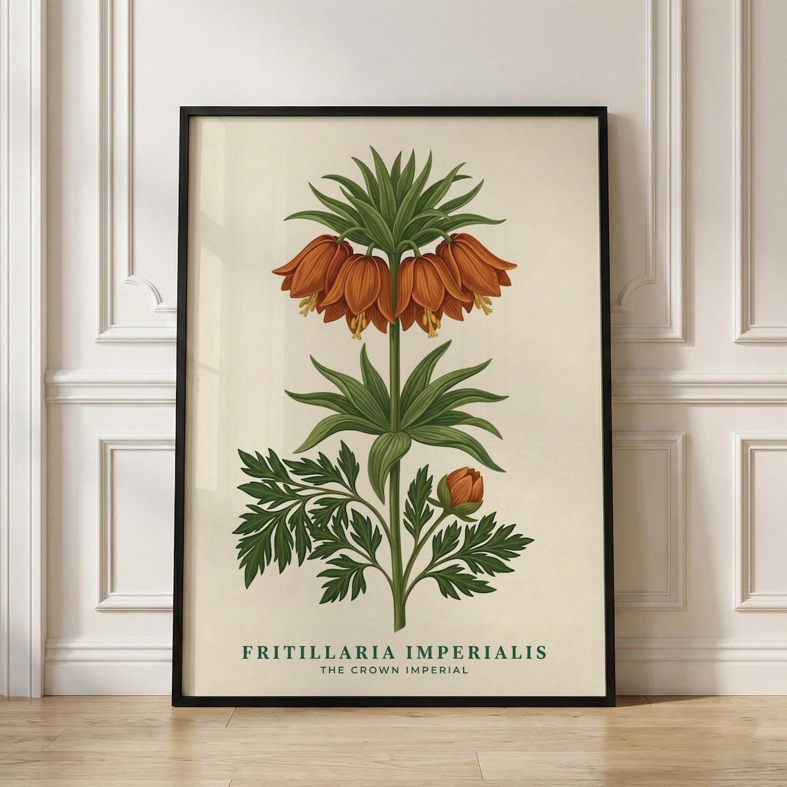 Crown Imperial Flower Vintage Fritillaria Botanical Floral Poster ...