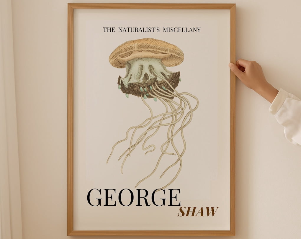 Crown Jellyfish Poster, Antique Jellyfish Print, Nautical Wall Art ...
