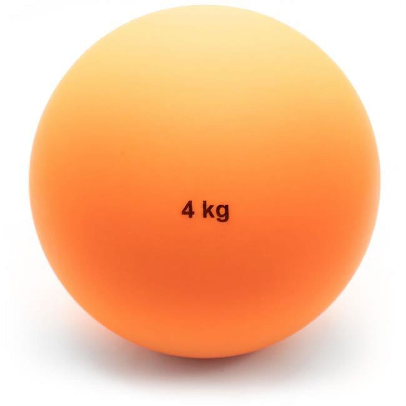Crown Sporting Goods 4.0kg (8.8lbs) Shot - Cast Iron Weight Shot Ball ...