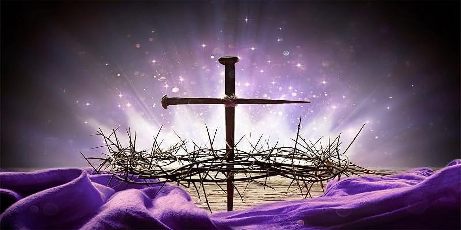 Crucifixion of Jesus Backdrop Crown of Thorns Cross Nail Holy Light ...