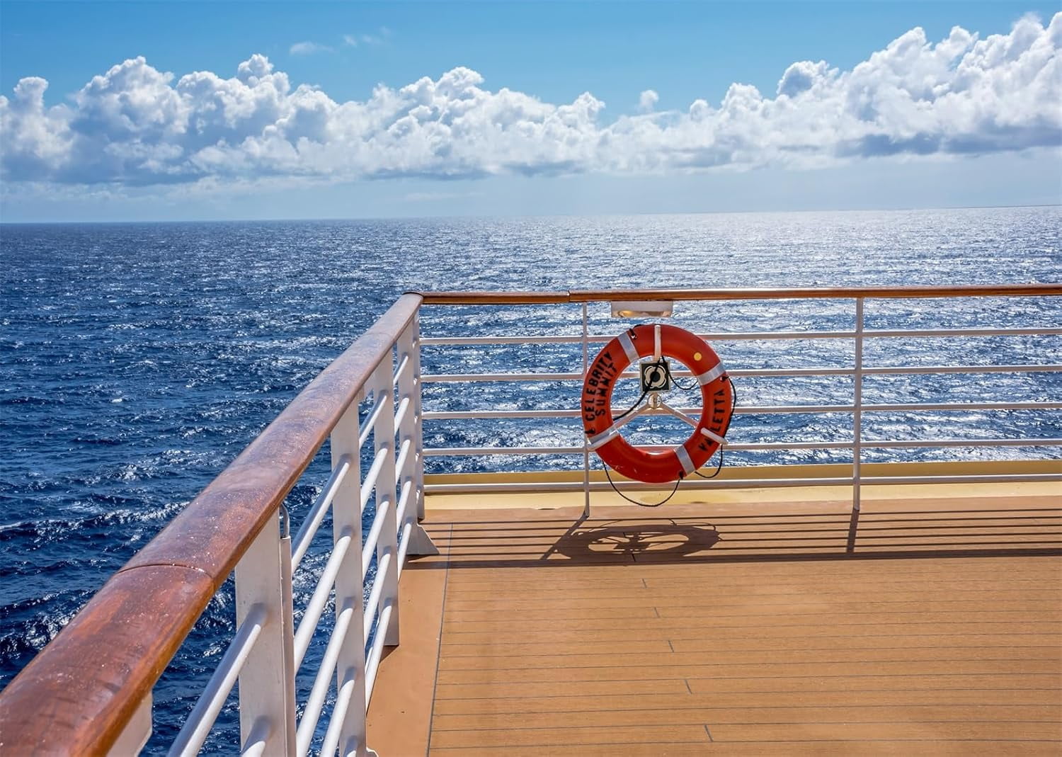 Cruise Ship Deck Backdrop Blue Ocean Ferry Cruise Railing and Buoy ...