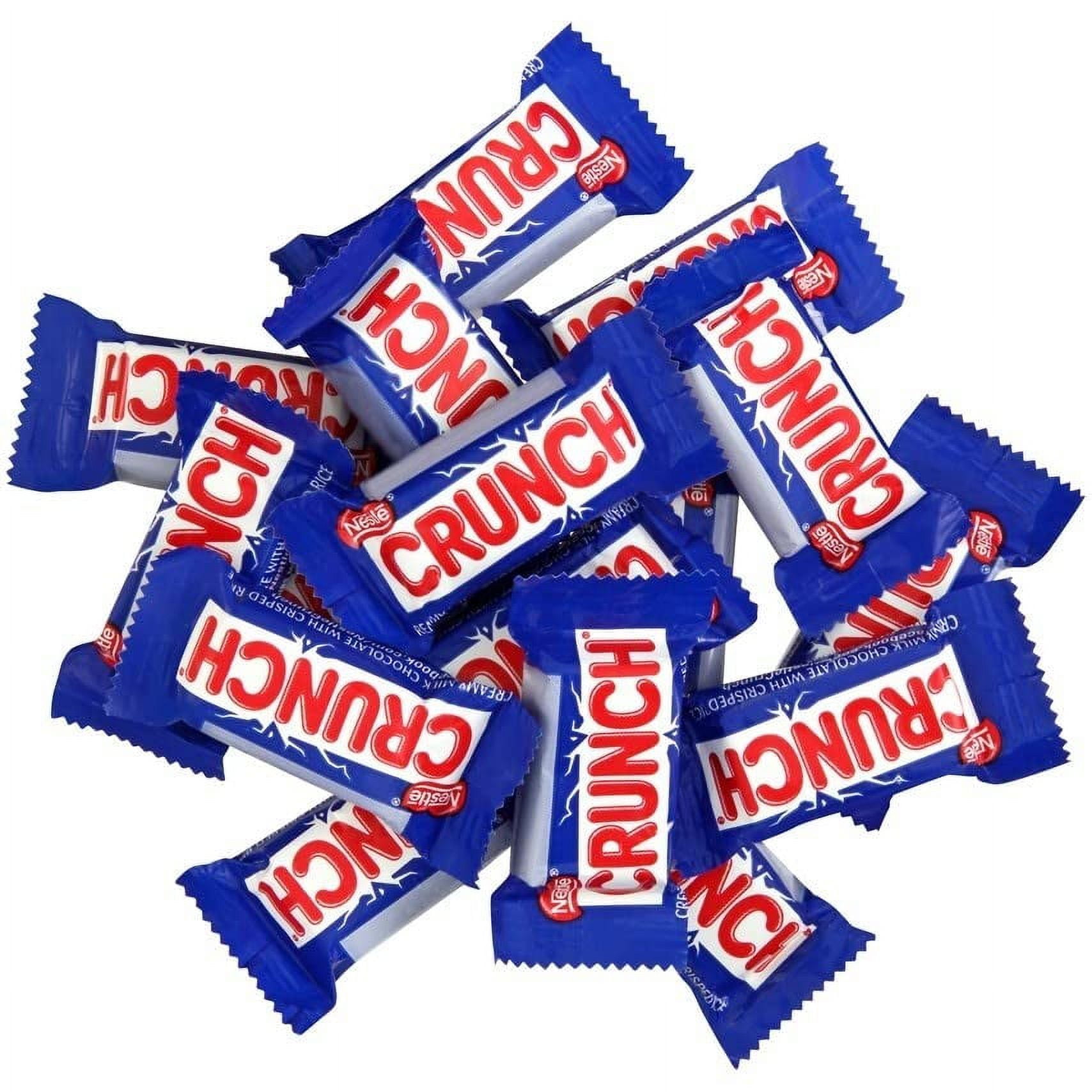 Crunch Fun Size Crisped Rice Chocolate Bars Bulk Bag (1 Pound ...