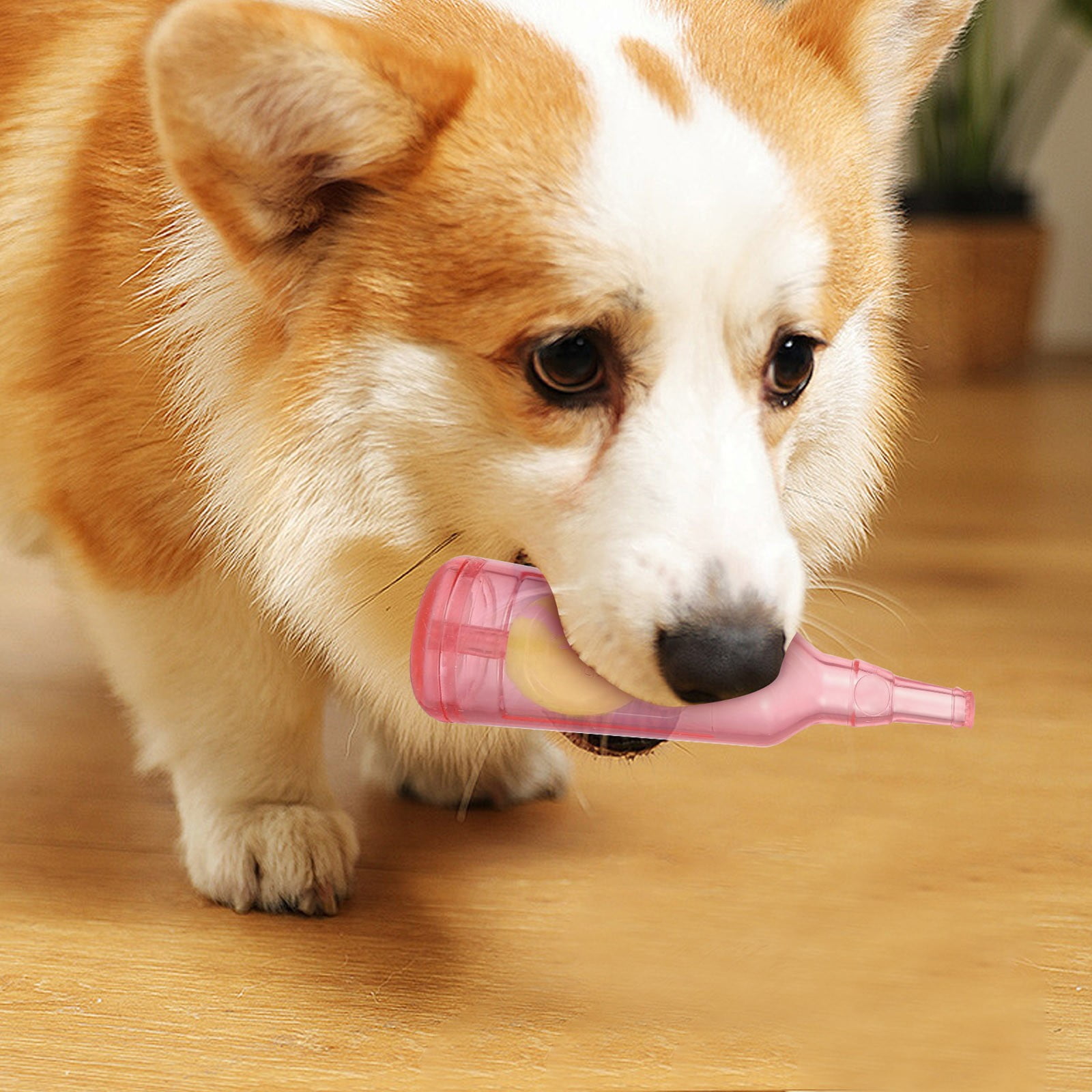 Crunch Play Bottle Toy Bottle Toys for Dogs Water Bottle Chew Toy ...