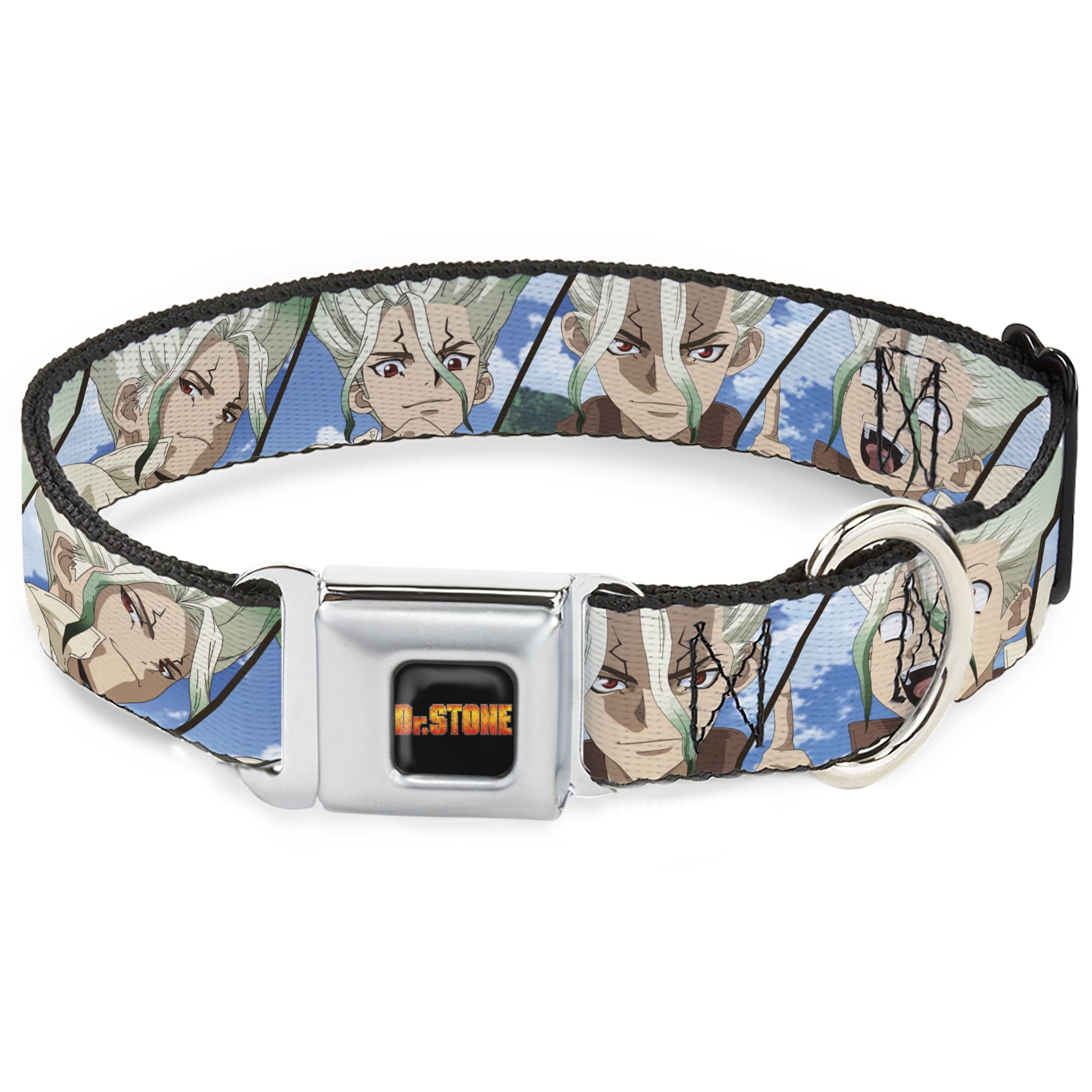Crunchyroll Pet Collar, Dog Collar Metal Seatbelt Buckle, Dr Stone ...