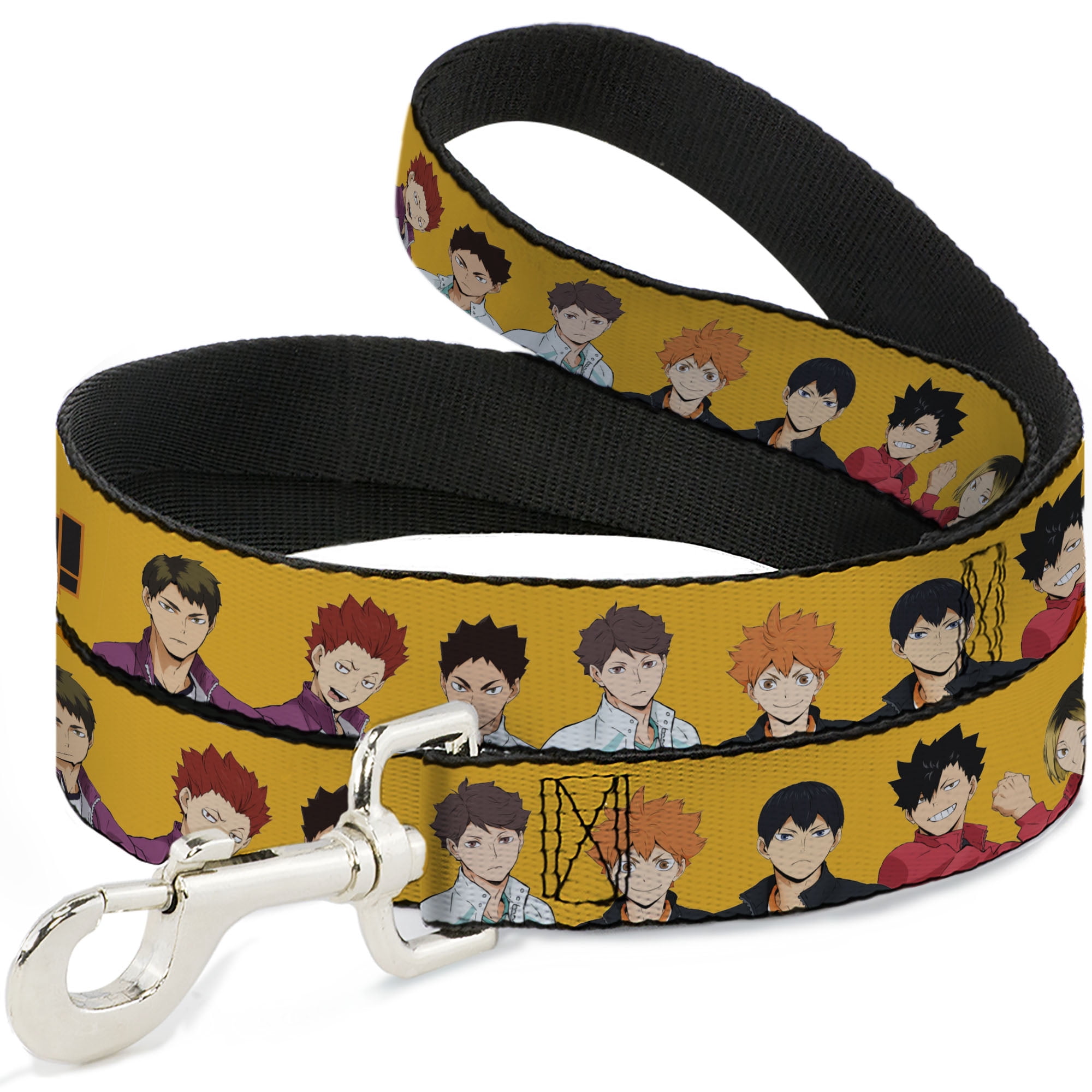 Crunchyroll Pet Leash, Dog Leash, Haikyu Player Characters and Title ...