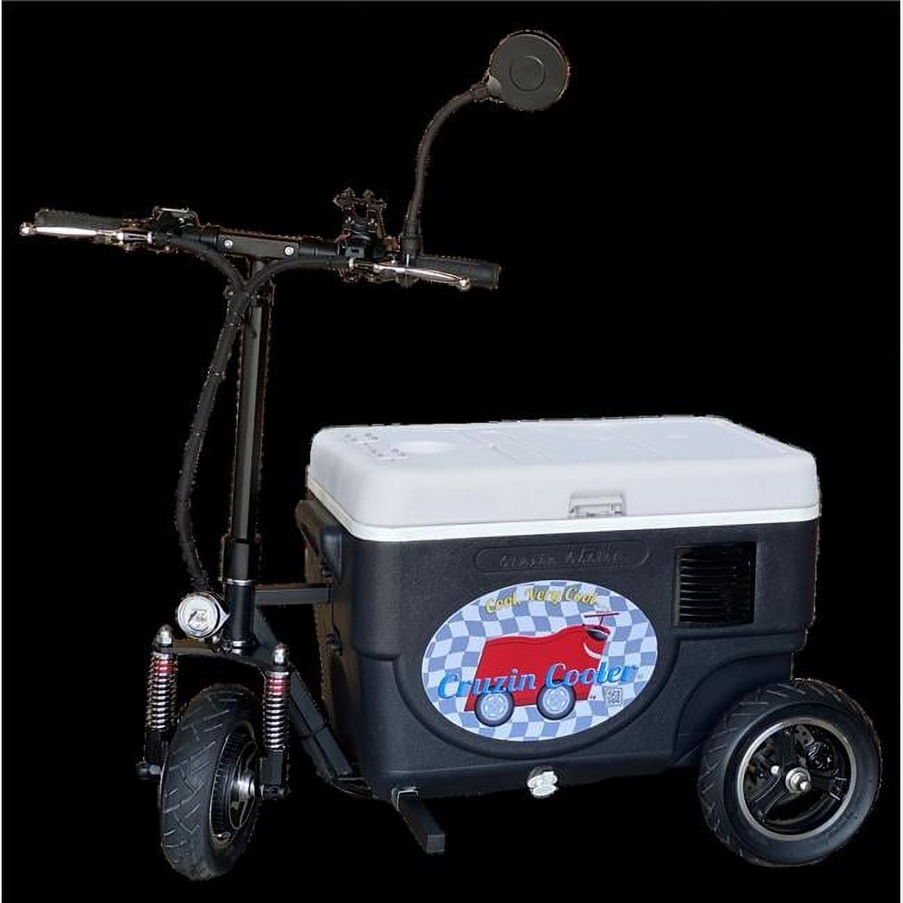 Cruzin Cooler E-Bike, 800W 3-Wheel Scooter with 48V 18Ah Life Po ...