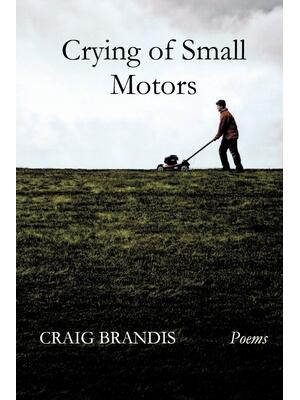 Crying of Small Motors - Walmart.com