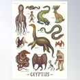 Cryptids Cryptozoology Species Poster Wall Art Modern Wall Decor For ...