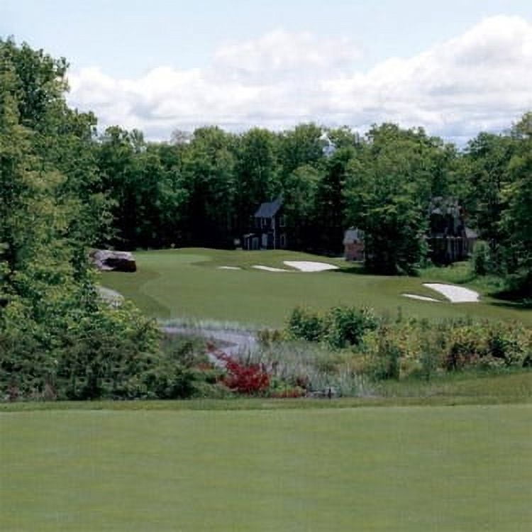 Outsidepride 25 lb. Crystal Bluelinks Creeping Bent Grass Putting ...