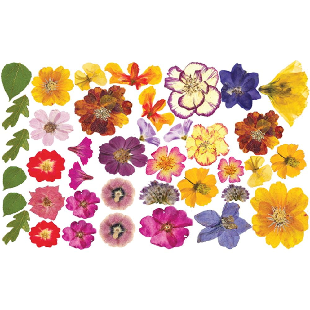 Crystal Candy Assorted Edible Wafer Paper Pressed Flowers, Gluten-Free ...