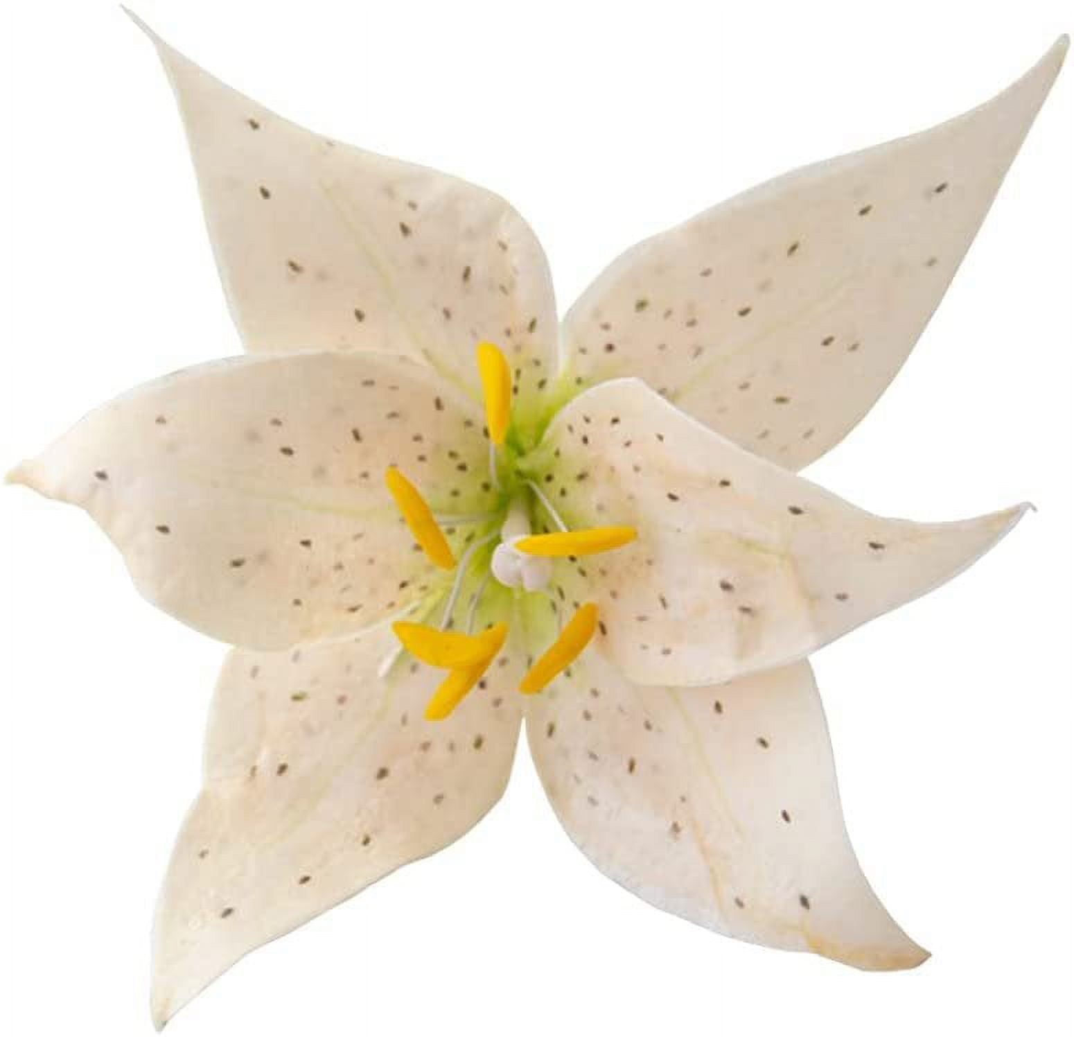 Crystal Candy Make-a-Tiger-Lily Wafer-Paper Flowers, White - Walmart.com