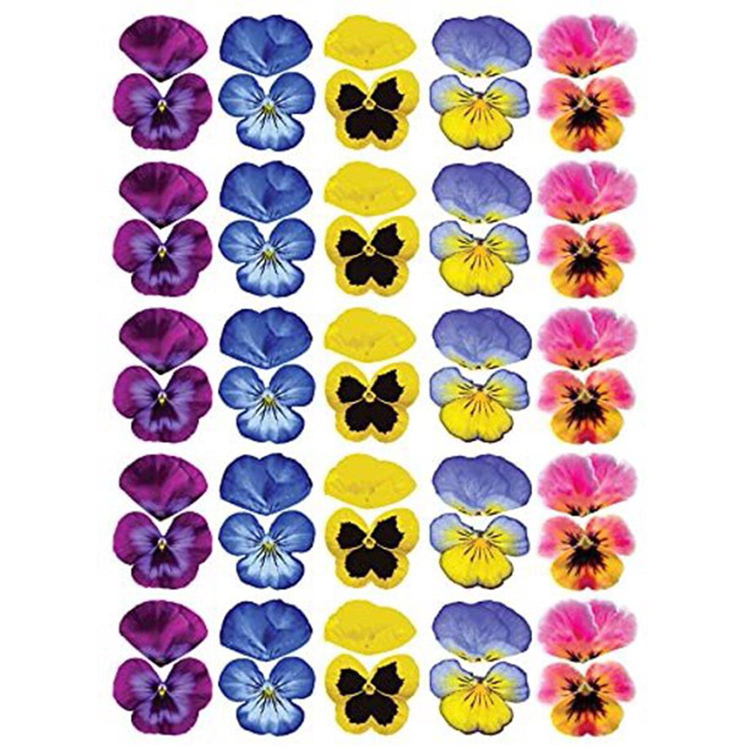 Pansy Edible