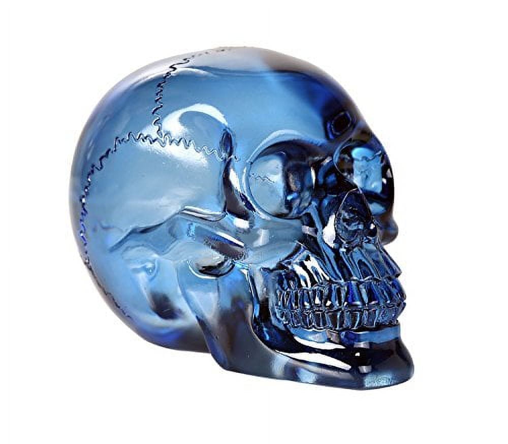 Crystal Clear Translucent Skull Collectible Figurine 4.5 Inch (Blue ...