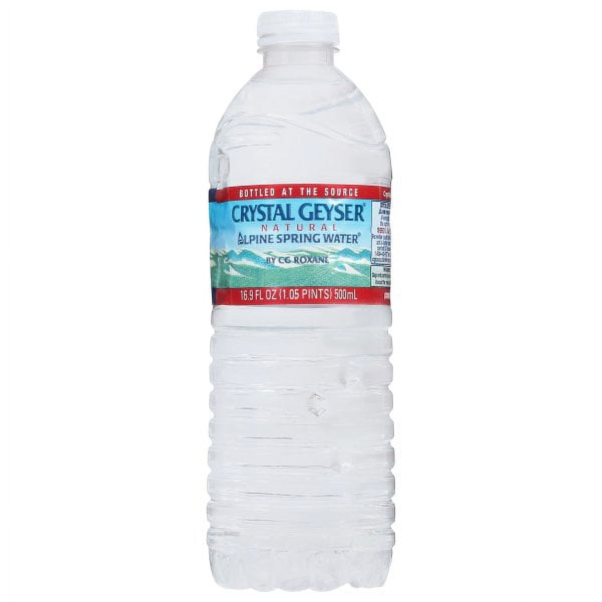 Crystal Geyser® Natural Alpine Spring Water® 16.9 fl. oz. Bottle - Walmart.com