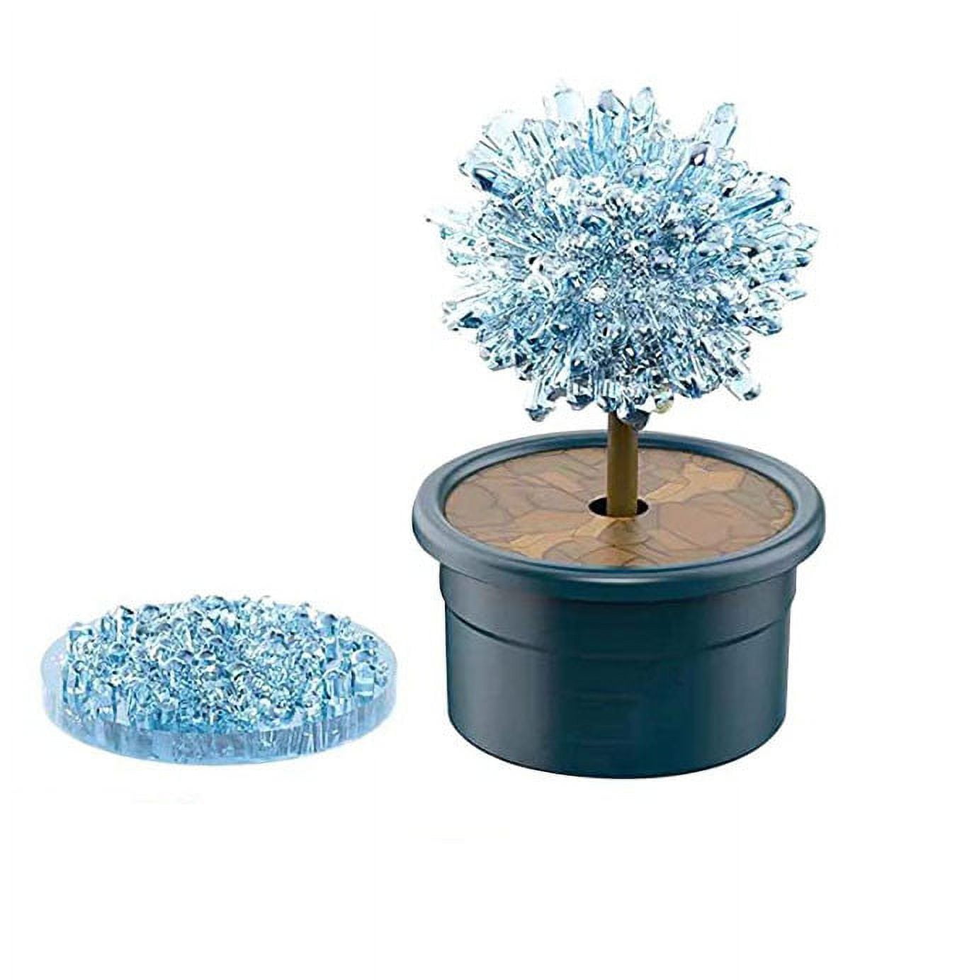 Crystal Growing Crystal Growing Kit Tree, Science Experimental Gift ...