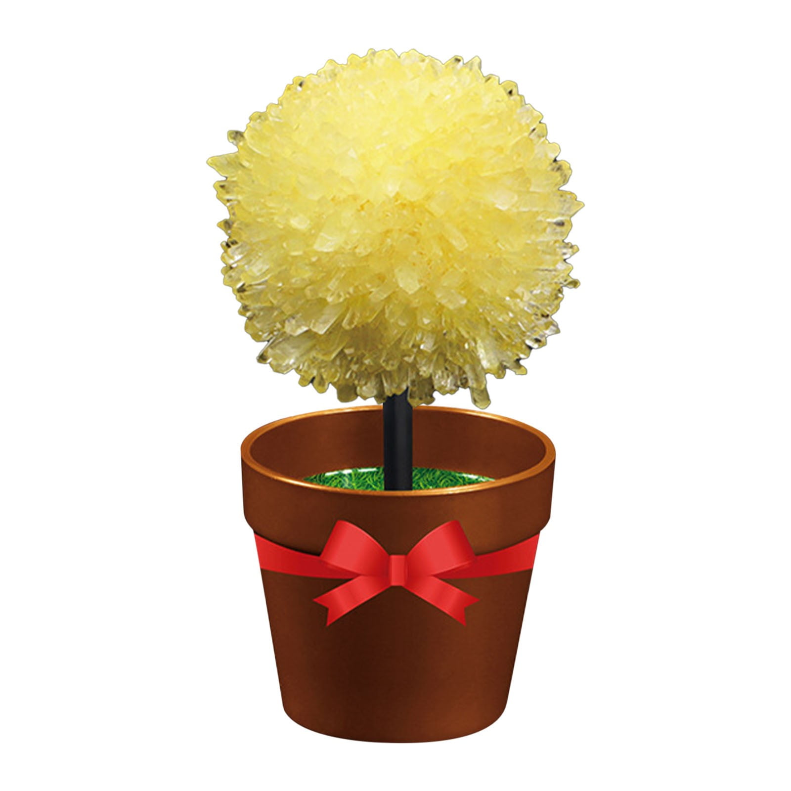 Crystal Growing Kit for Kids – DIY Science Experiment Kit with 6 ...