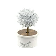 guohui DIY Science Puzzle Toys Sciance Learning for Home Ornament Teens ...