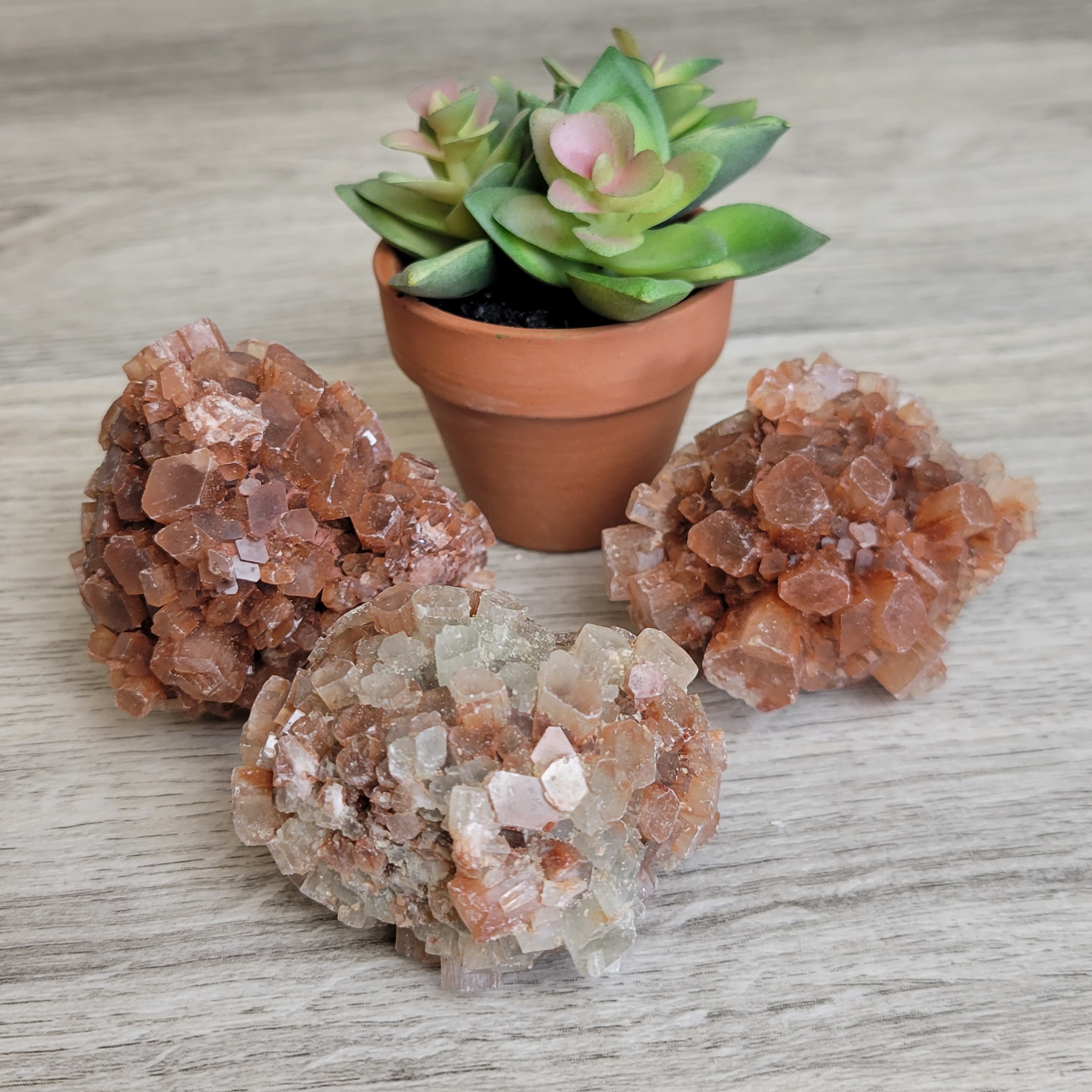 Crystal Joys Aragonite Star Cluster Medium – Natural Mineral Specimen ...